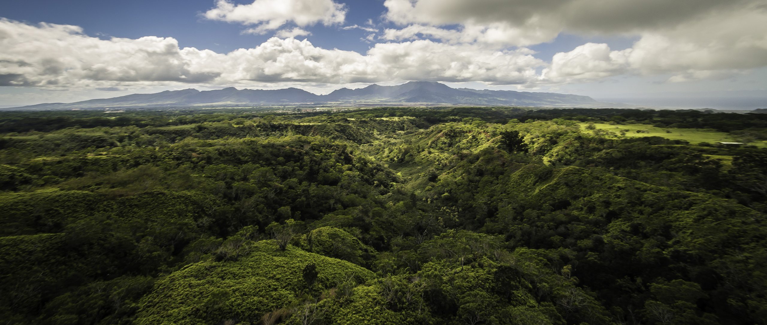 Office of the Auditor | State of Hawai`i
